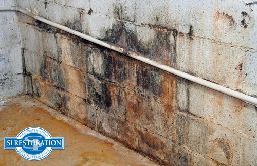 SI Restoration Reviews New Bill Set To Establish Mold Regulations In New Jersey si-restoration-reviews-new-bill-set-to-establish-mold-regulations-in-new-jersey