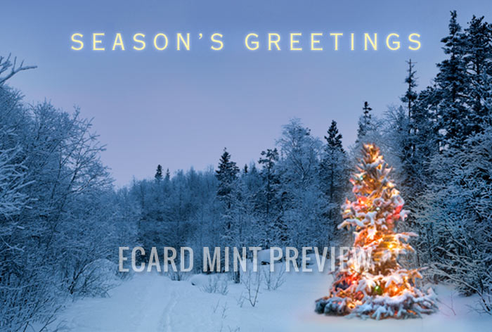 Ecard Company Offers Complimentary Card With Silver Membership This 