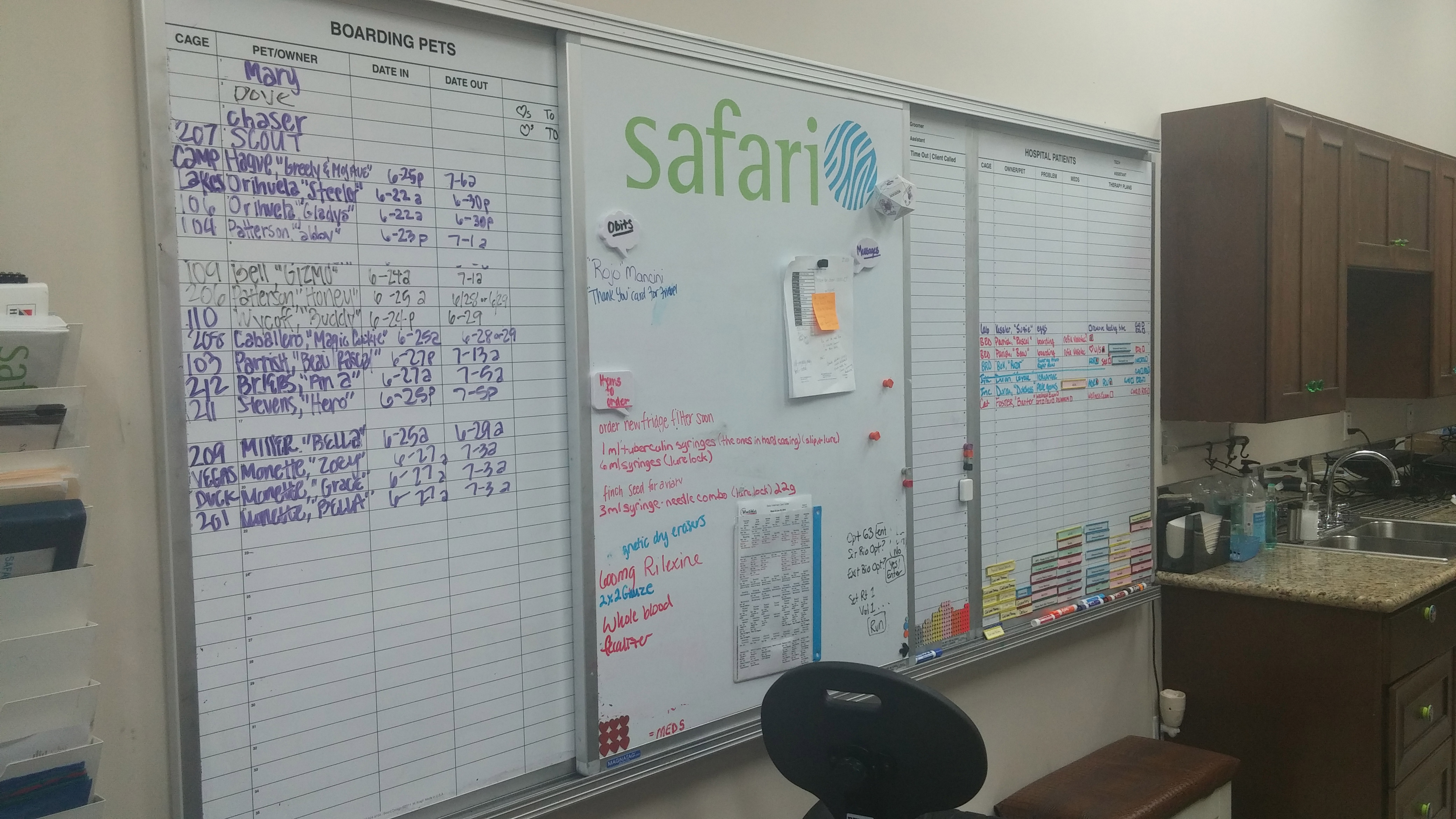 How Top Veterinarian Manages His Successful Practice Using Whiteboards