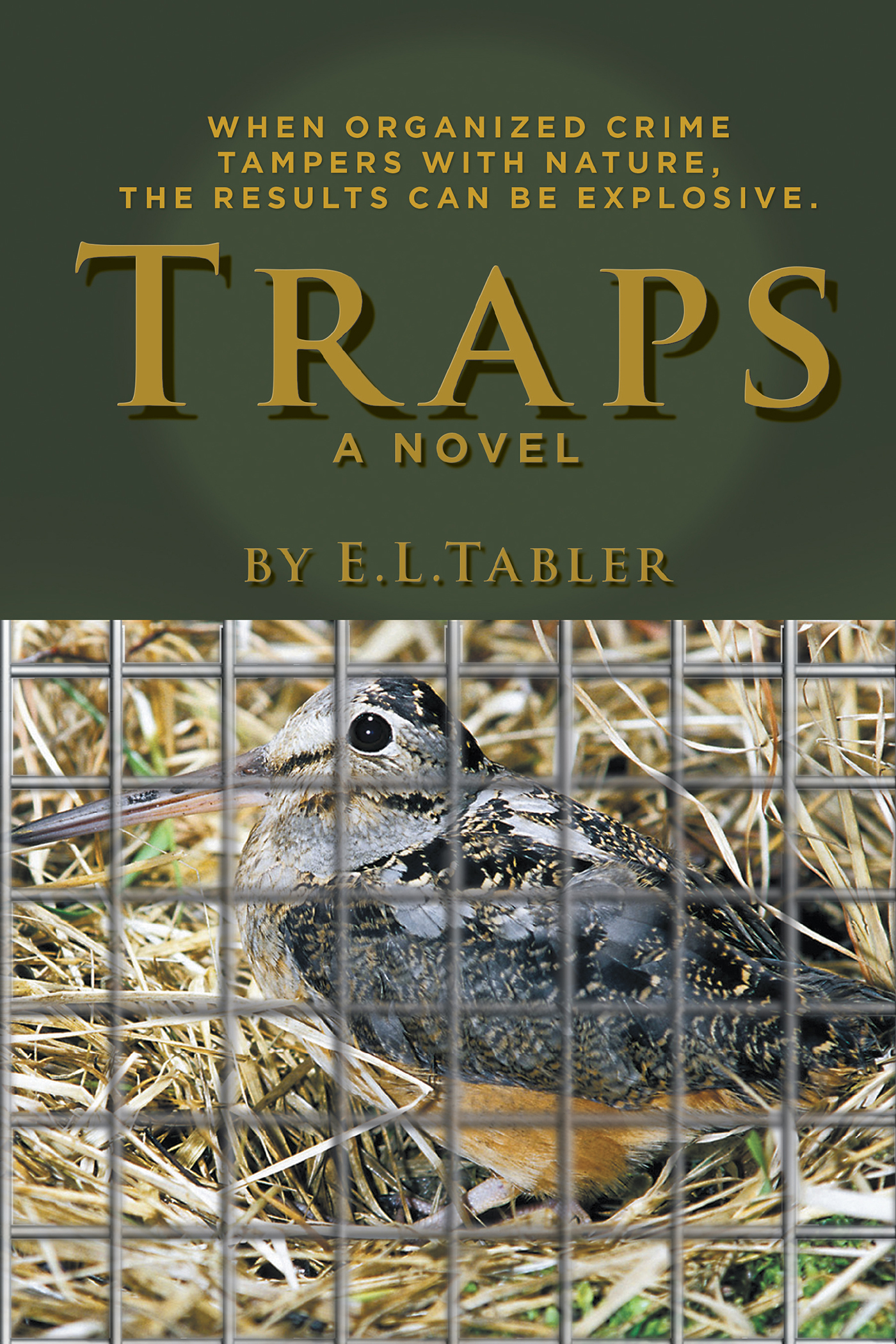 Action Adventure Novel Gives Fresh Take To The Genre action-adventure-novel-gives-fresh-take-to-the-genre