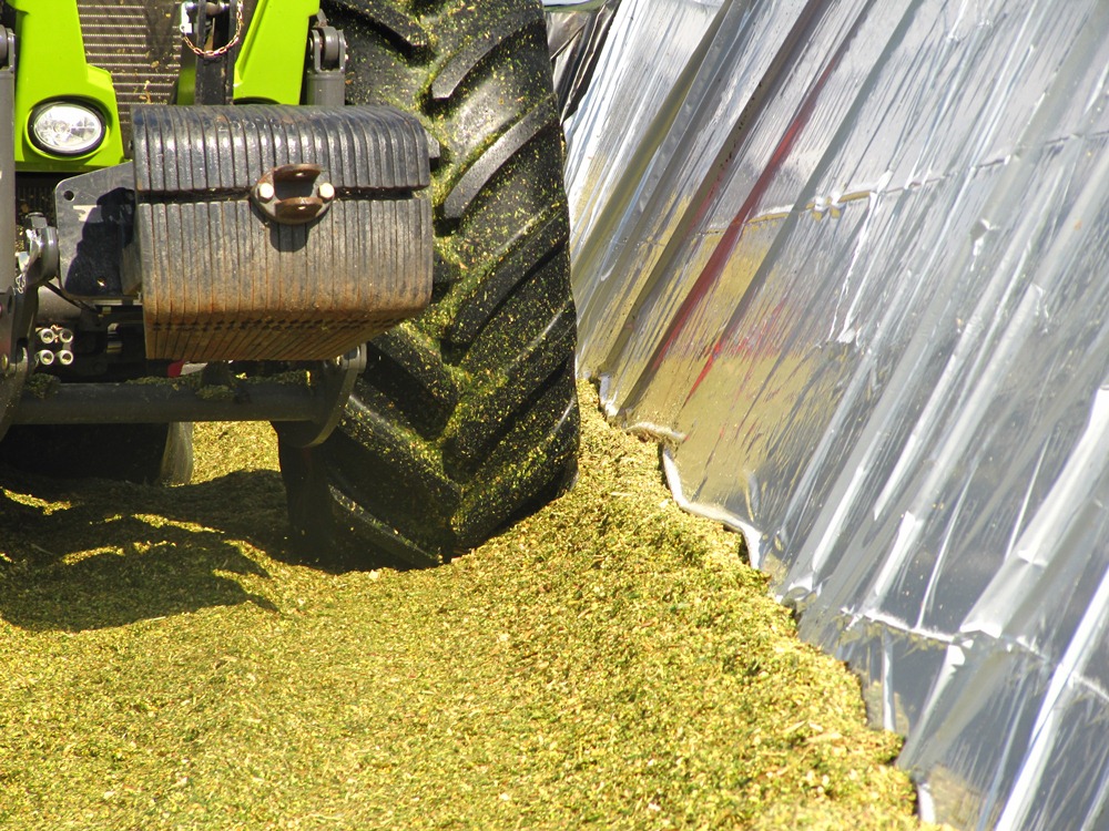 What Are Silage Clamp at Harold Hernandez blog