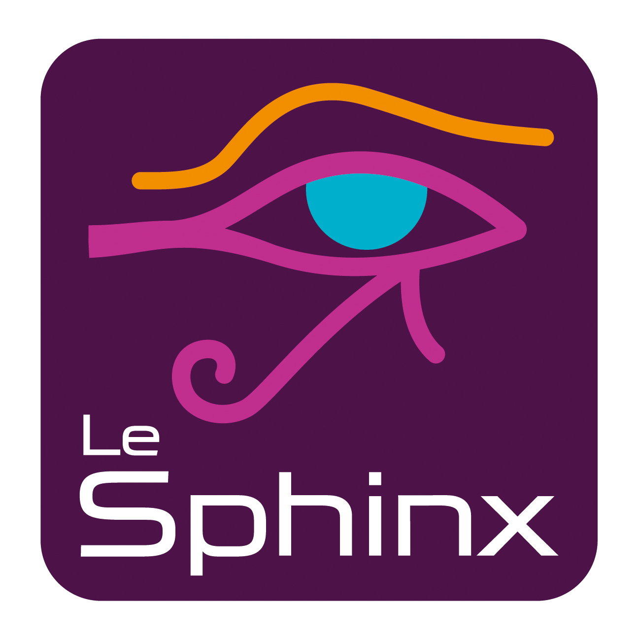 Les prochaines Rencontres Sphinx, autour de l'enquête et de l'analyse ...