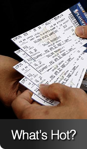 Balitimore Ravens Tickets for Individual NFL Games Go on Sale for the ...