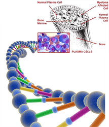 Signal Genetics LLC Announces Update to MyPRS™ Gene Expression ...