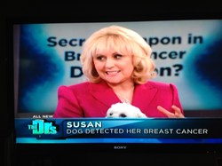 Bella The Cancer Sniffing Dog Made Her TV Debut on The Emmy Winning ...