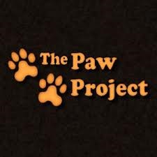 Animal Support Joins Paw Project in Goal to Ban Feline Declawing