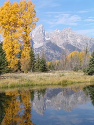 Jackson Hole Fall Arts Festival Adds New Tour of Homes to Annual ...