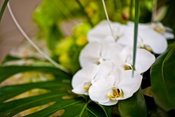 King Florist Of Austin Announces Fall Wedding Trend