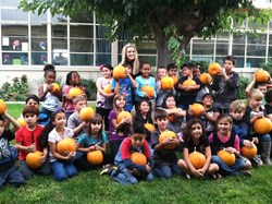 Harris Moran Opens Pumpkin Fields to Local Schoolchildren for 11th ...