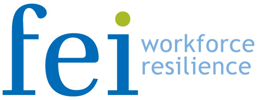 FEI Announces Collaboration with The Mandt System