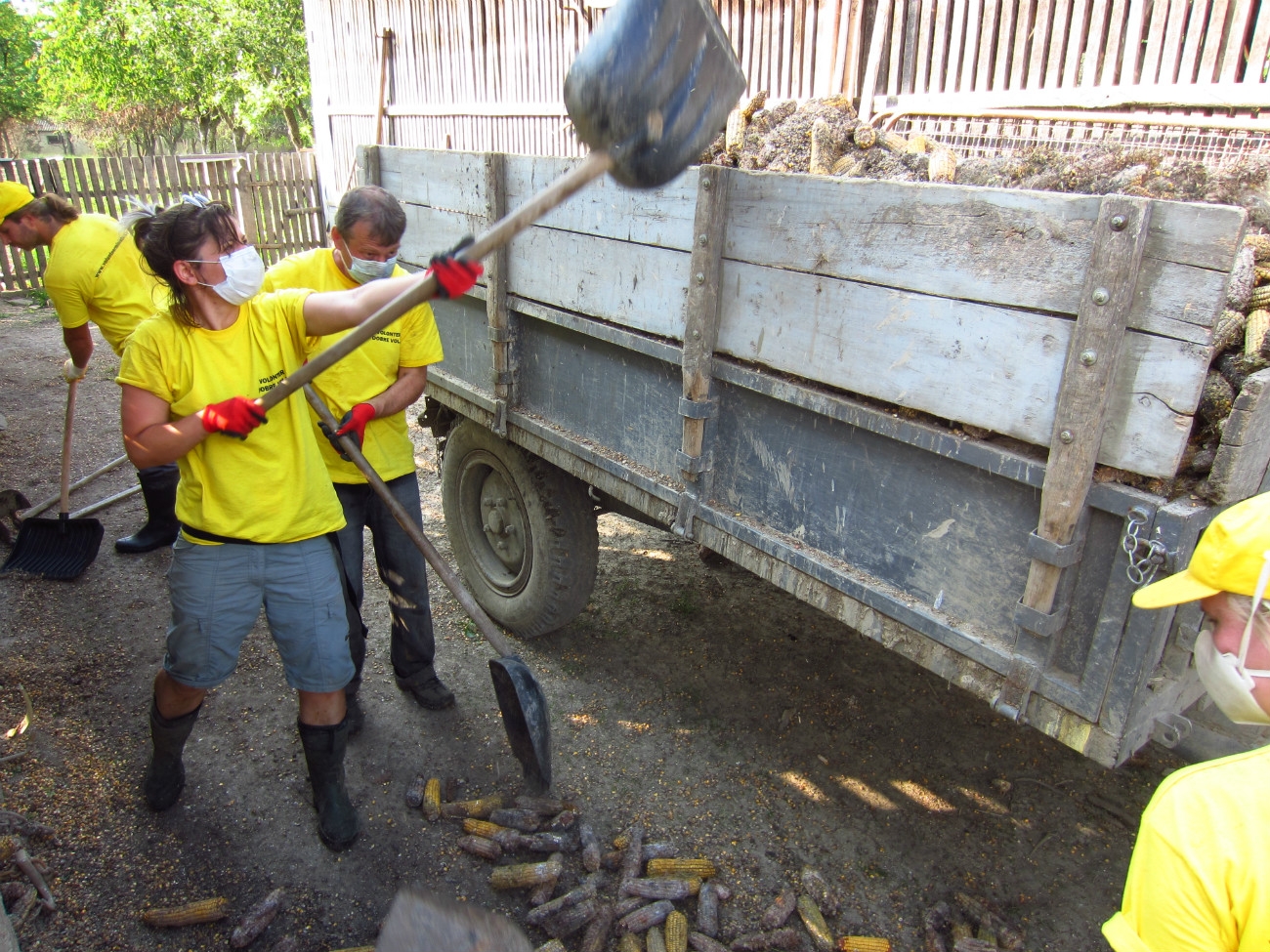 Flood-Damaged Bosnian Farm, Salvaged