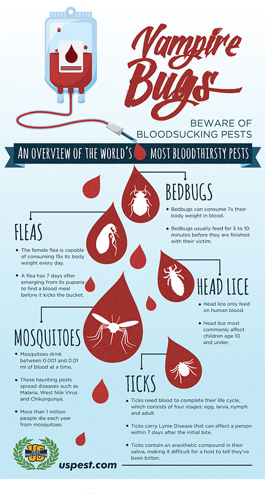 U.S. Pest Halloween Infographic Reveals Spine-Chilling Facts about ...