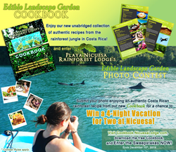 Creative Tourism: Costa Rica Ecolodge Releases Exotic Cookbook of ...