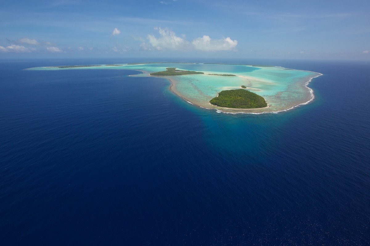 Tetiaroa Society Joins Forces with Mission Blue