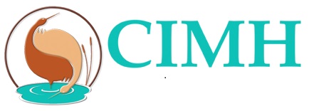 CIMH: American Companies Struggle Under the Weight of Healthcare as ...