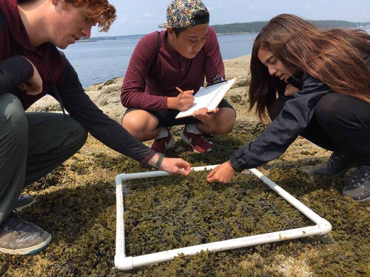 Earthwatch Institute and Durfee Foundation Empower Teens to Take Part ...