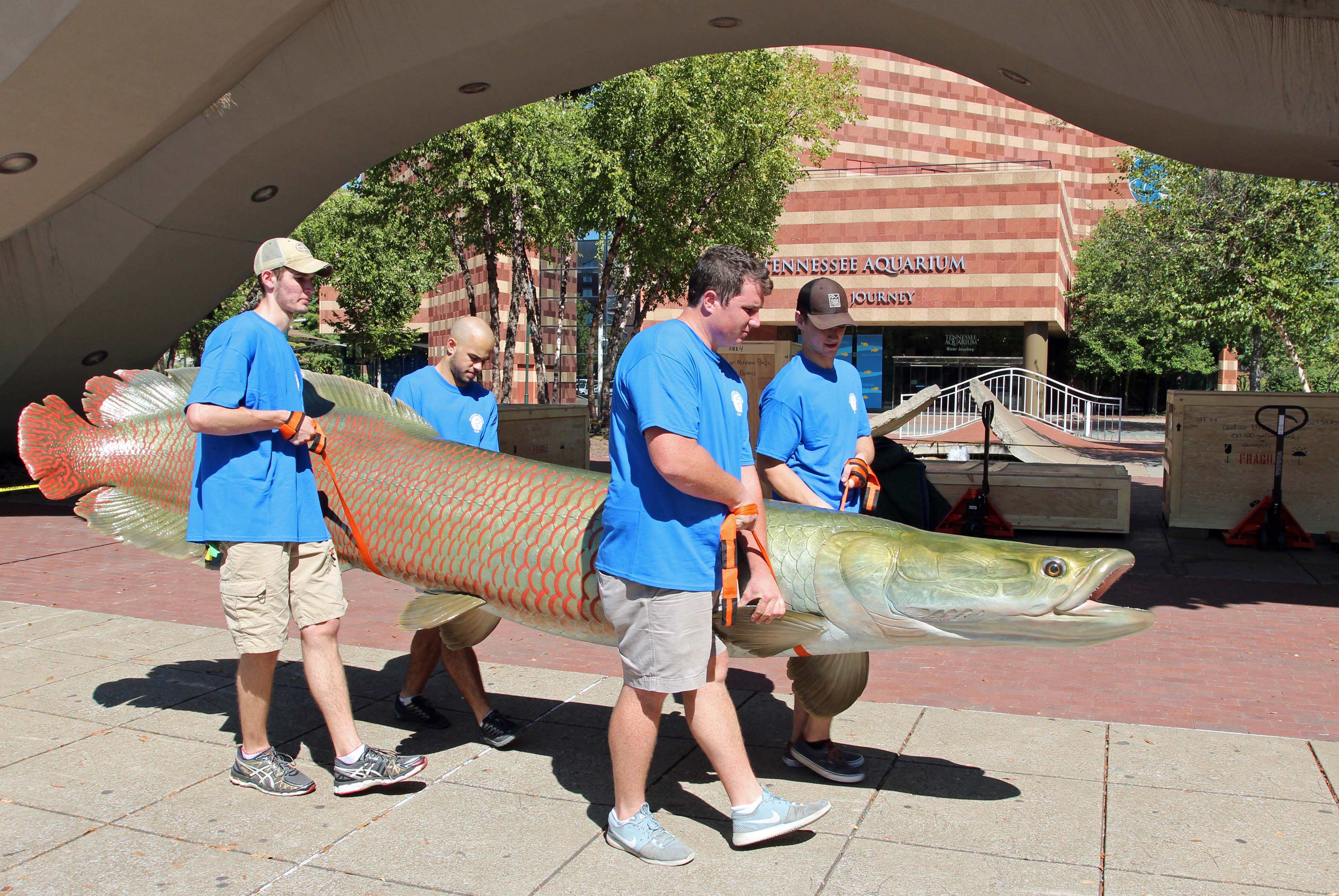 "Monster Fish" Exhibition Opens at the Tennessee Aquarium Oct 1