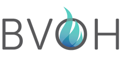 BVOH Expands its Business to Include Interim CFO Services