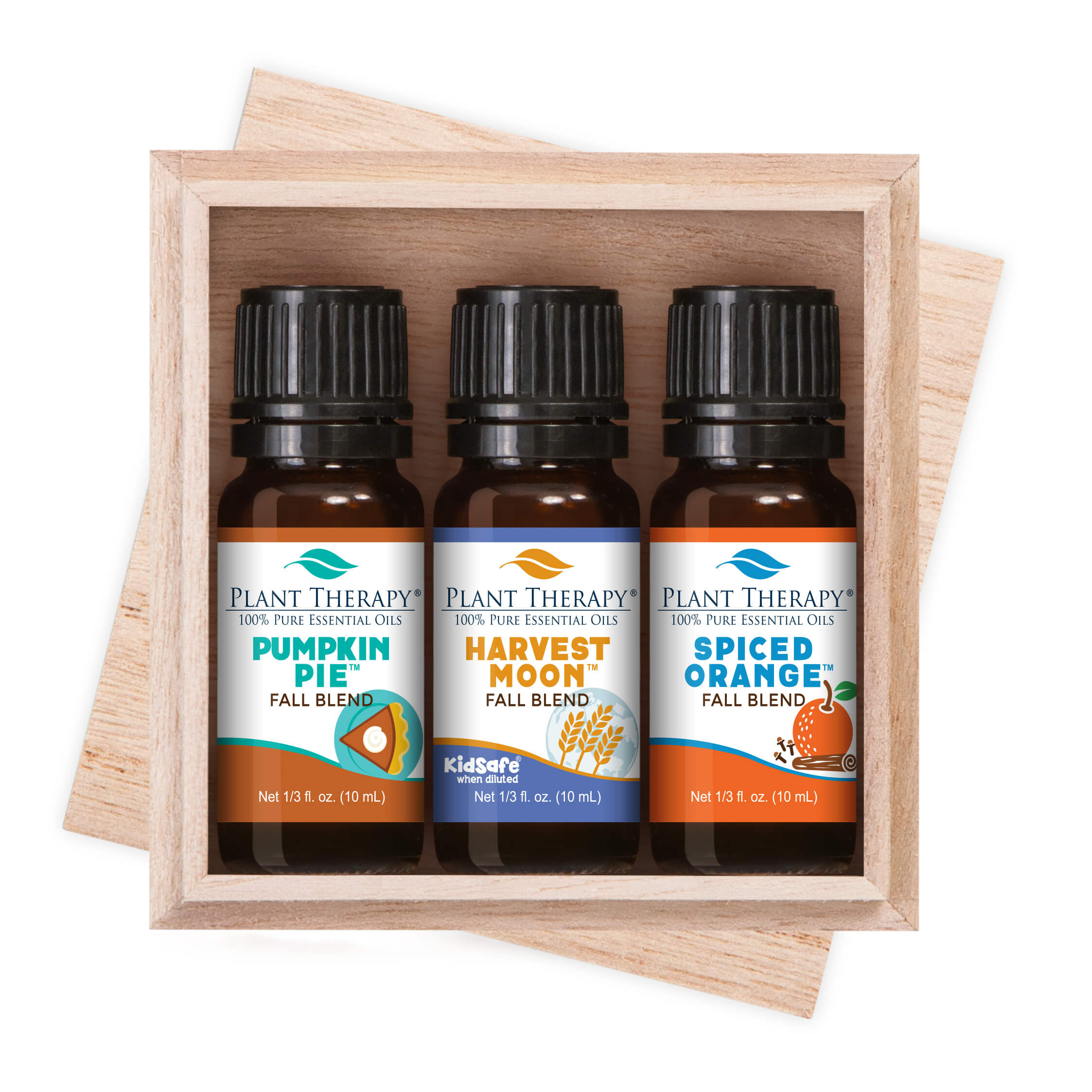 Plant Therapy Releases the Autumn Treasures Fall Blends Set, Its Line ...