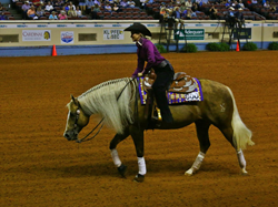 Courtney Battison of Battison Honda and Horse, Xtra Little Balou, Place ...