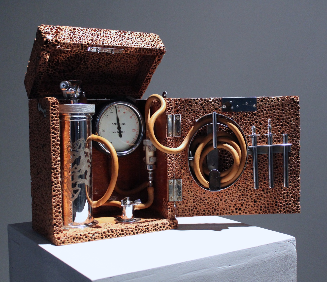 Internationally Renowned BioArtist Featured at Esther Klein Gallery