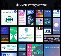 GDPR Training - Customizable Learning Allows Whole Organizations to Comply