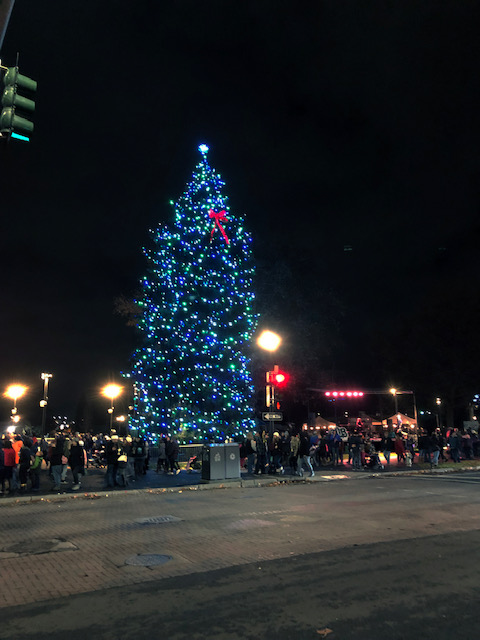 Senske Services Donates Lights to Make Downtown Spokane Merry and Bright