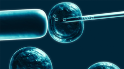 Contaminated Stem Cell Lawsuit Filed Against Genetech, Others