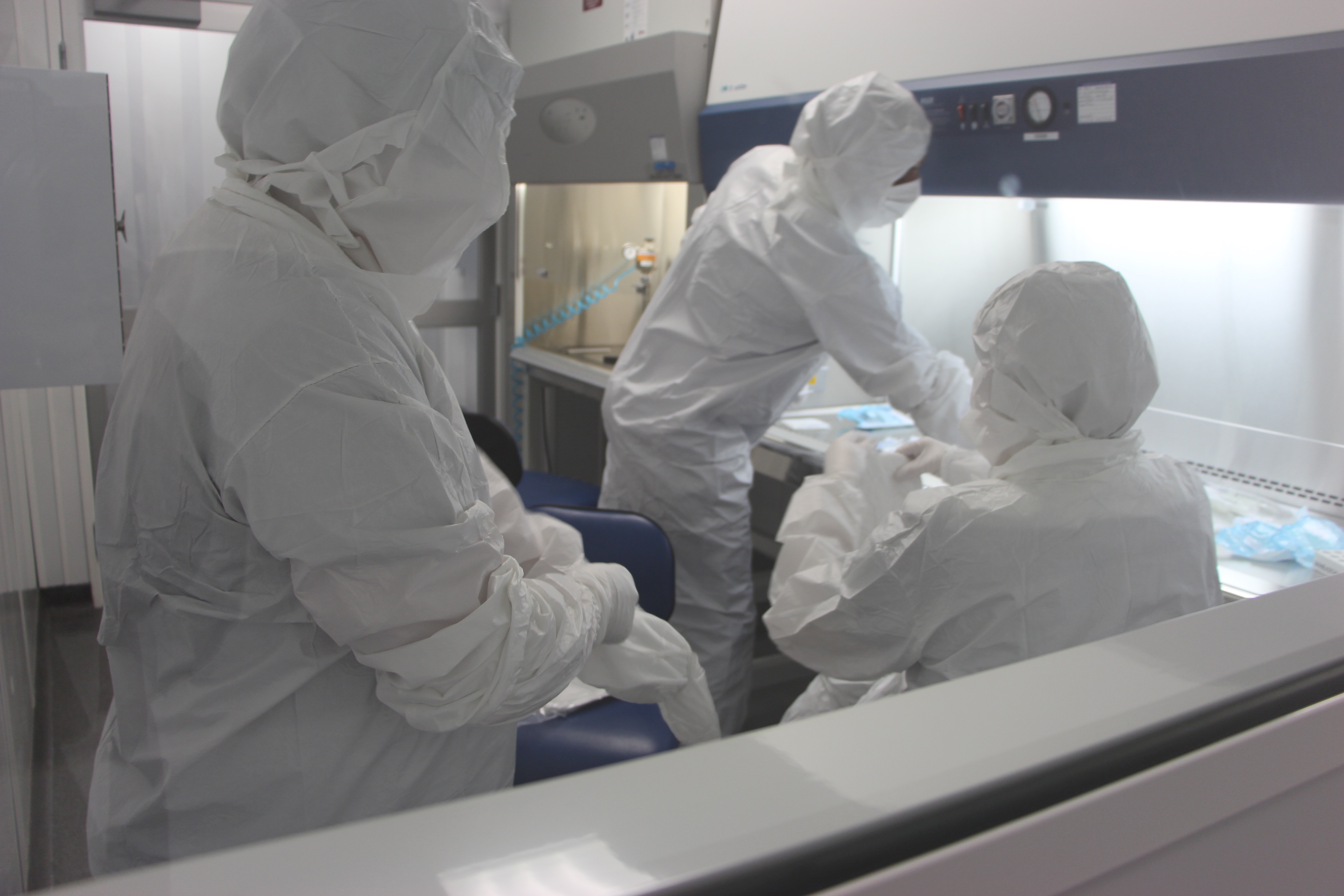 VetStem Biopharma Begins GMP Manufacturing of Stem Cells for Leading ...