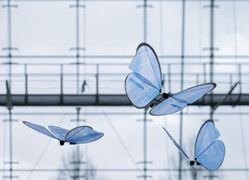 From Robots to Adaptive Grippers, Festo Displays Innovations at ...