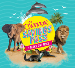 The 'Summer Savings Pass' Is Back! 3 Attractions…3 Months of Fun…1 Price!