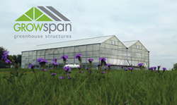 GrowSpan Chosen As Top Cannabis Industry Employer For 2021