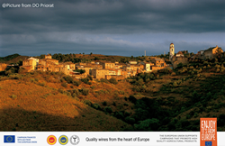 Get to know Priorat DOQ and Its Unique Landscape through "Taste the ...