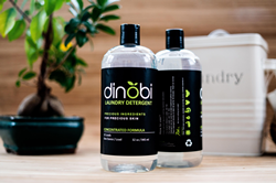 Dinobi Restock Makes Its Plant-Based Detergent Available To All