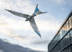 The Festo Bionic Dragonfly and Swift Soar at RoboBoston on Saturday ...