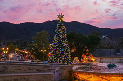 Temecula Celebrates Spirit of the Holidays with Festive Local Flair ...