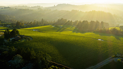 Renowned Russian River Valley Viticultural Area Celebrates 40th Anniversary