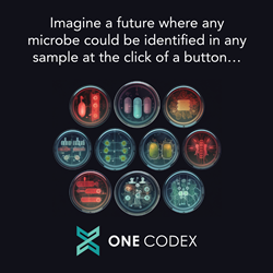 One Codex and 4bases team up to empower clinicians with solutions for microbiome analysis